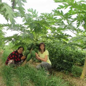 Anna Lee - Guides - ITAP World