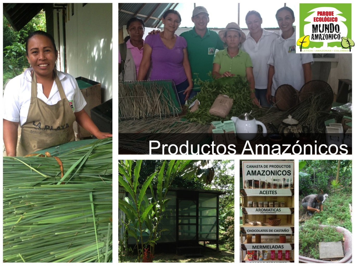 NATURAL PRODUCTS FROM THE AMAZON - PRODUCTOS NATURALES - ITAP World